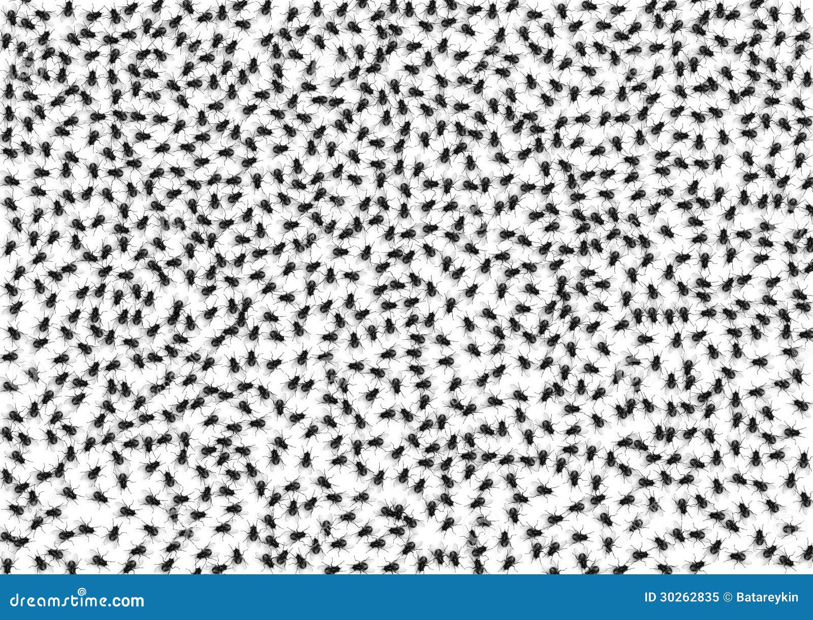 Swarm of fly stock illustration. Illustration of animals - 30262835