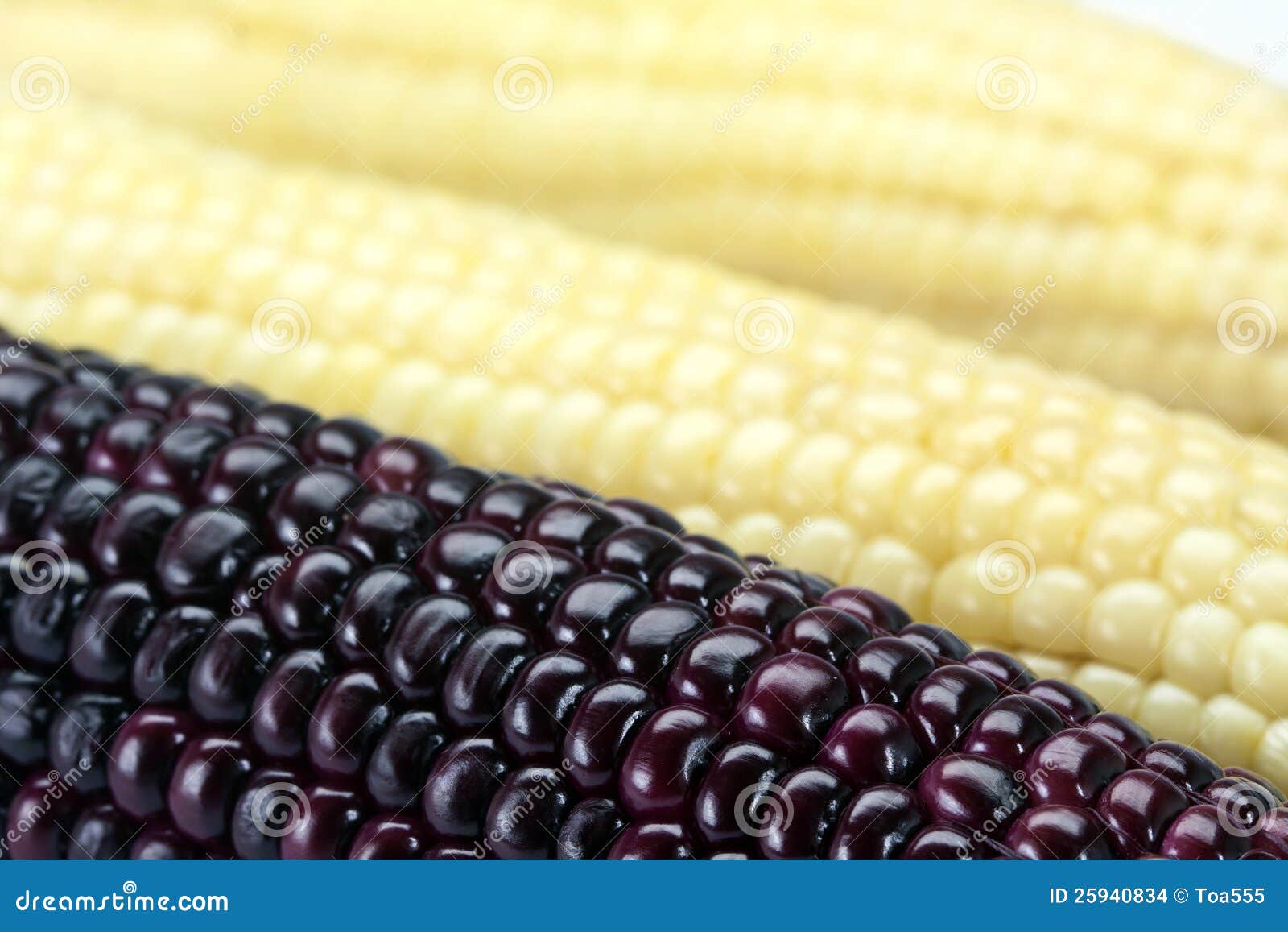 Texture of Sweet Purple Corn Stock Photo - Image of colorful, crop ...