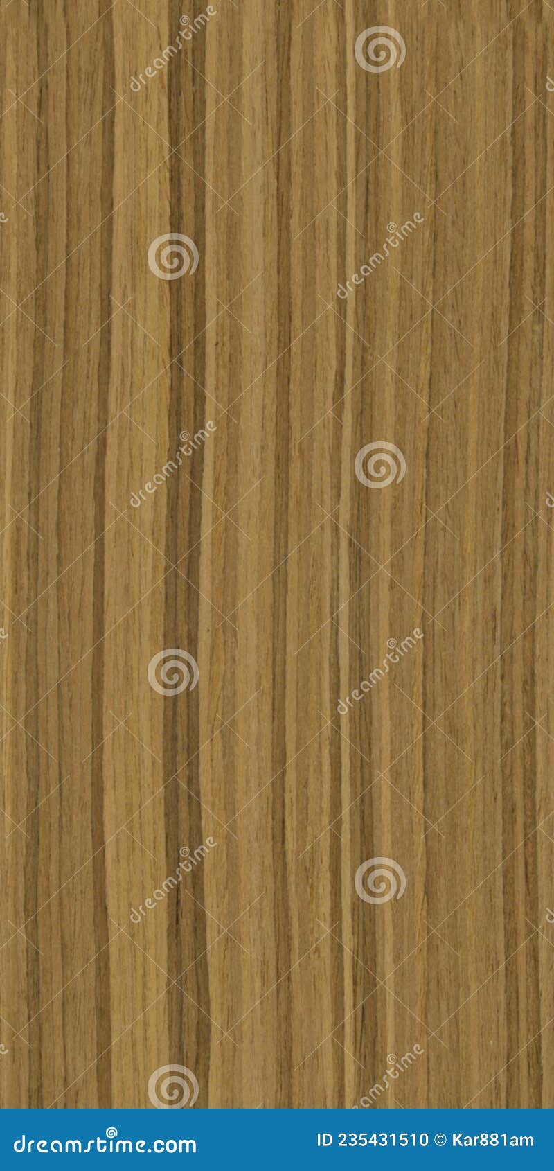 Texture Teak Tree 4K High Quality Stock Photo - Image of engineer ...