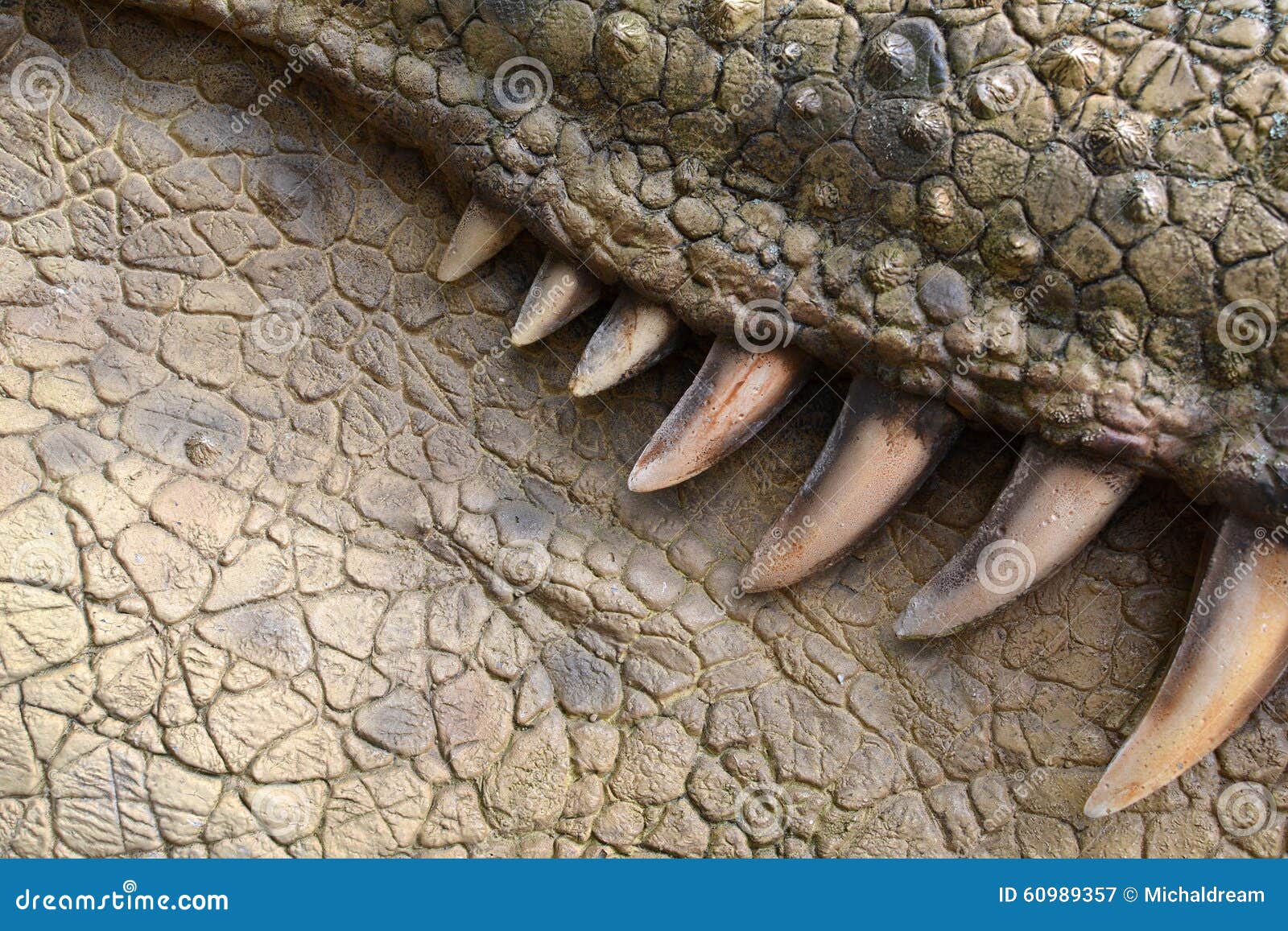 Texture 6953 - Teeth and Skin Stock Image - Image of abstract, texture ...