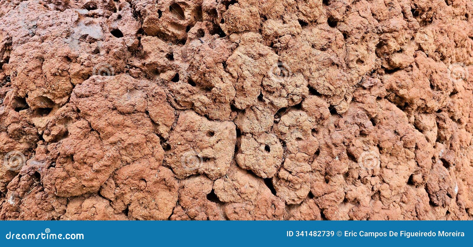 Texture of Dry Clay Termite Mound Stock Image - Image of builds ...