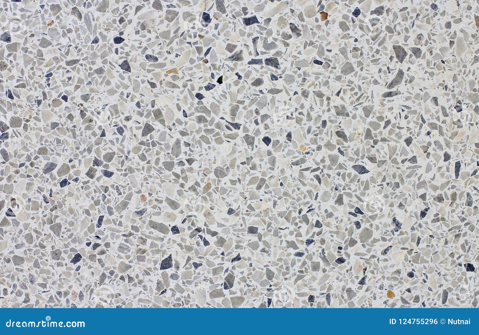 Texture of terrazzo floor stock photo. Image of white - 124755296