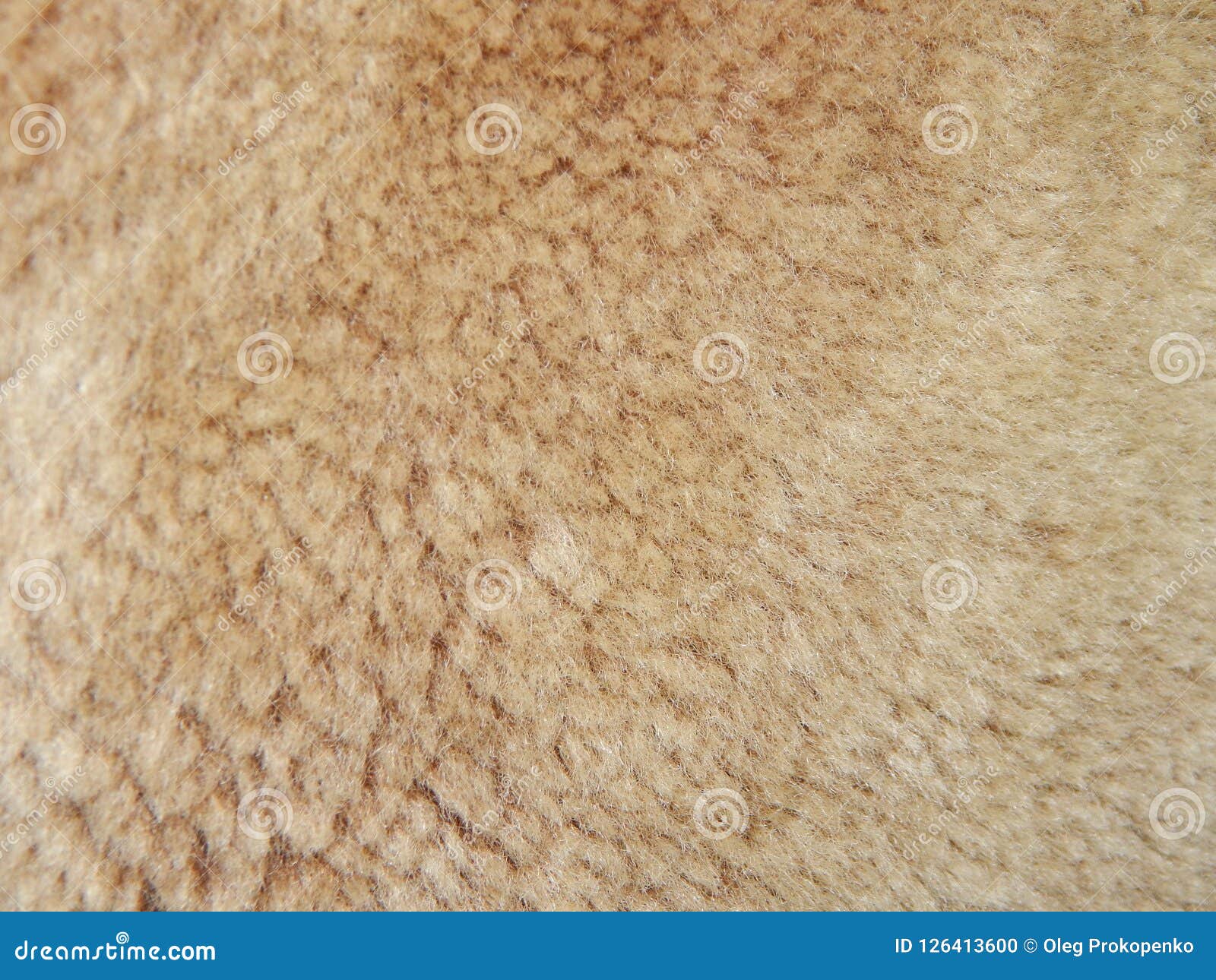 Texture of Textile Fabrics, Clothing Stock Photo - Image of style ...