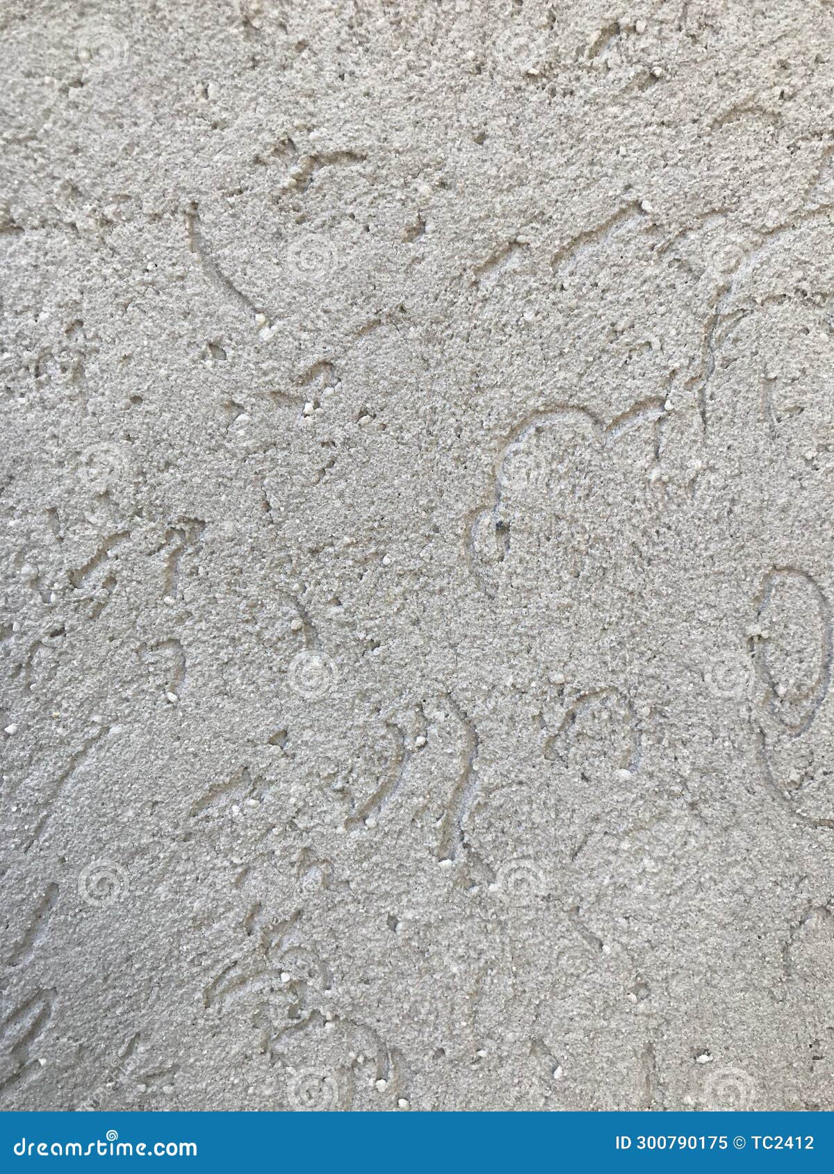Texture of a Textured Plaster Stock Image - Image of wall, cement ...
