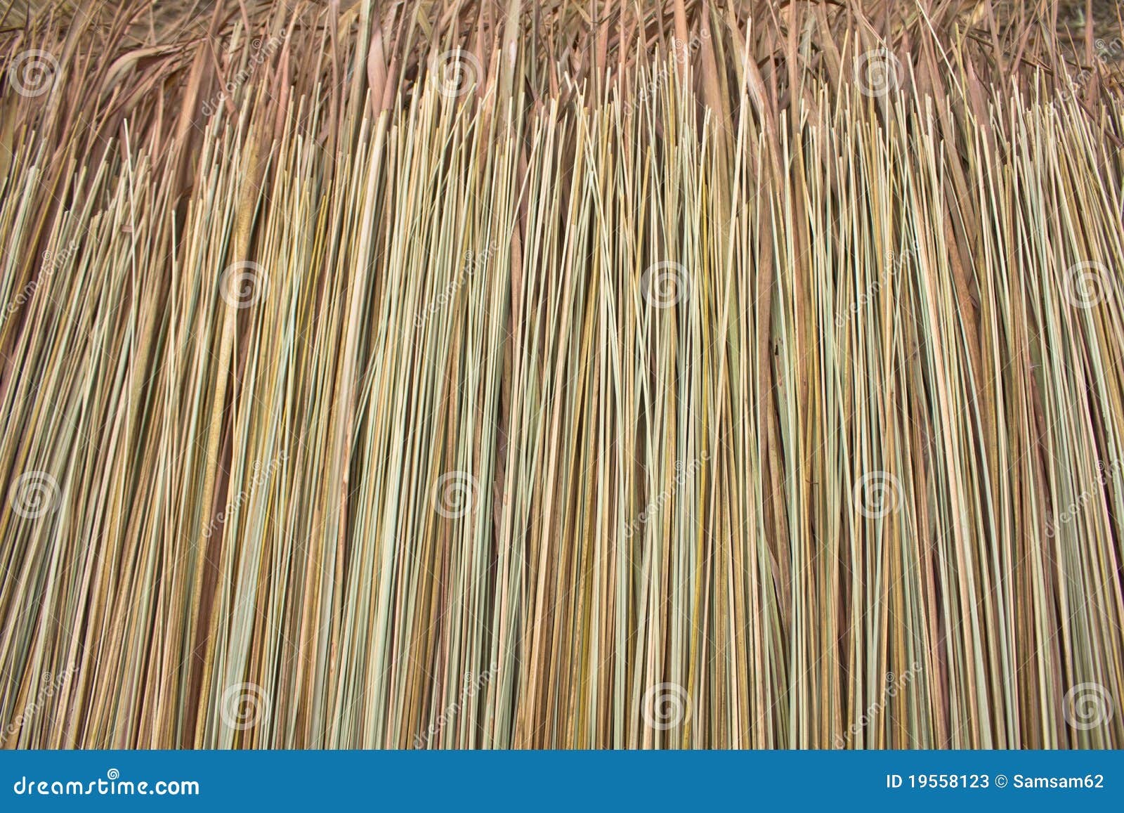Texture of thatch stock image. Image of leaf, rough, backdrop - 19558123