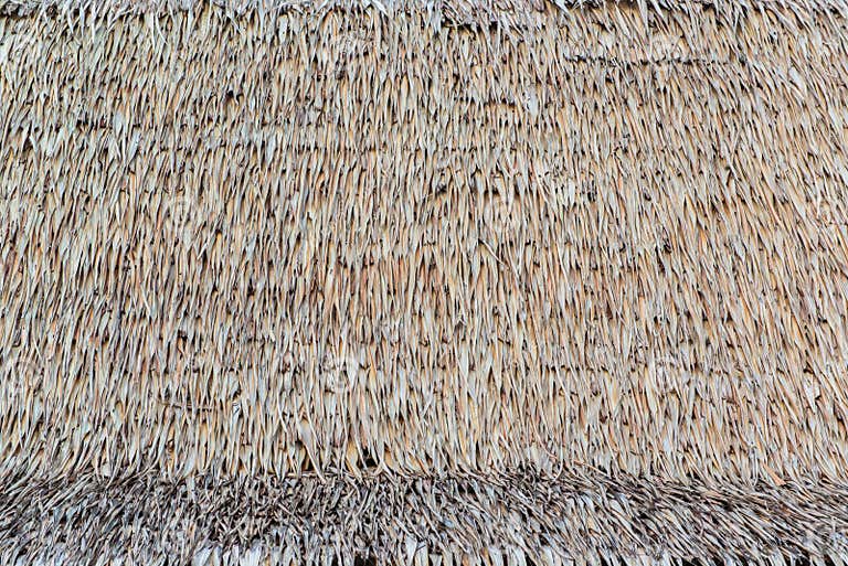 Texture of thatch roof stock photo. Image of rural, roofing - 32933182