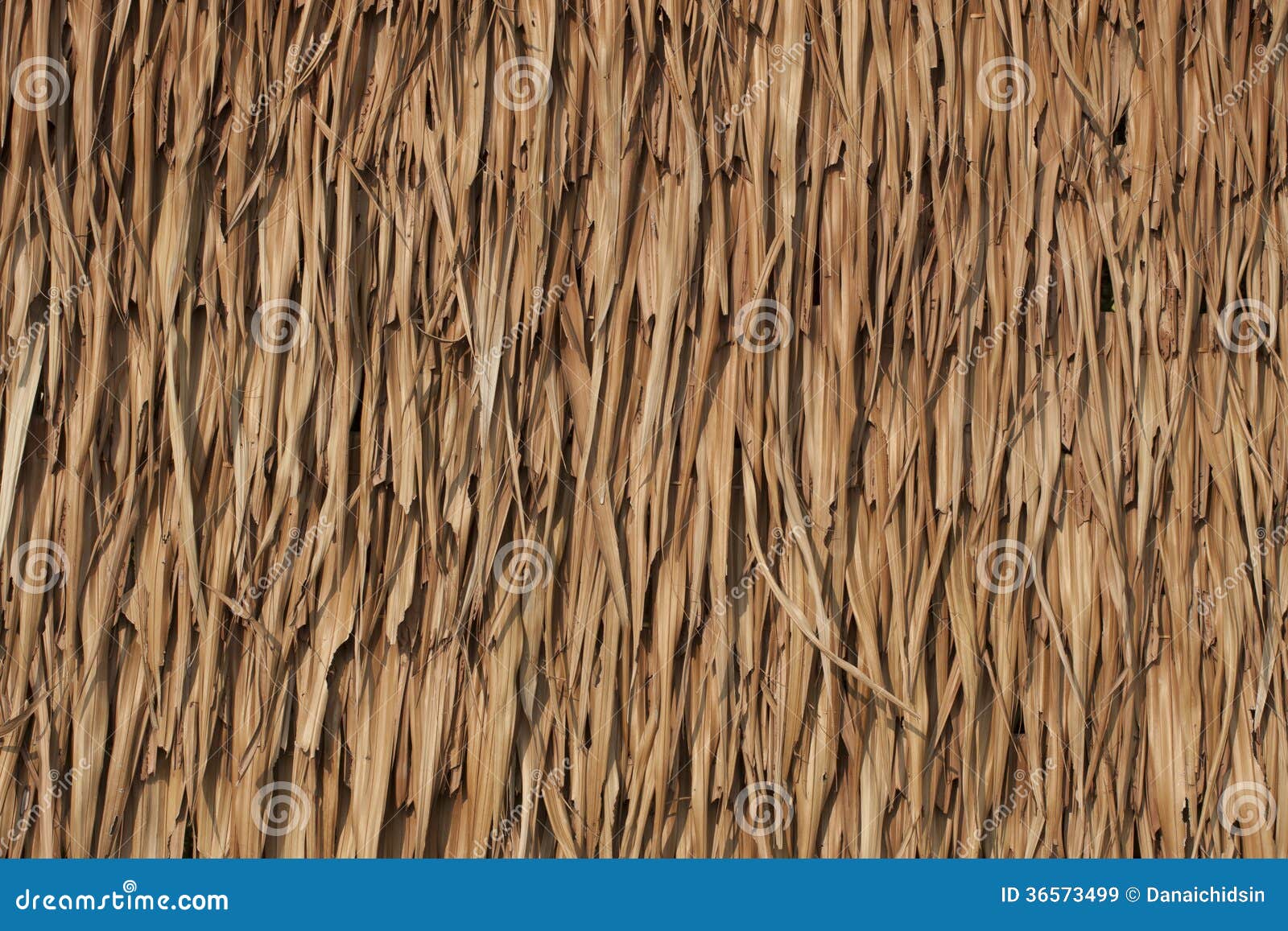 Thatch Roof Royalty-Free Stock Photography | CartoonDealer.com #48703781