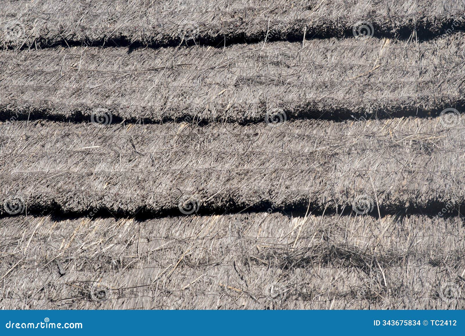 Texture of a thatched roof stock photo. Image of wall - 343675834