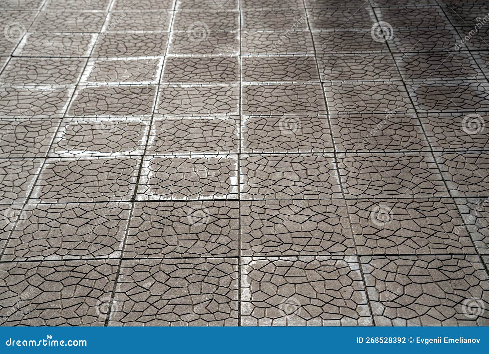 The Texture of a Tiled Pavement with Perspective. Stock Photo - Image ...
