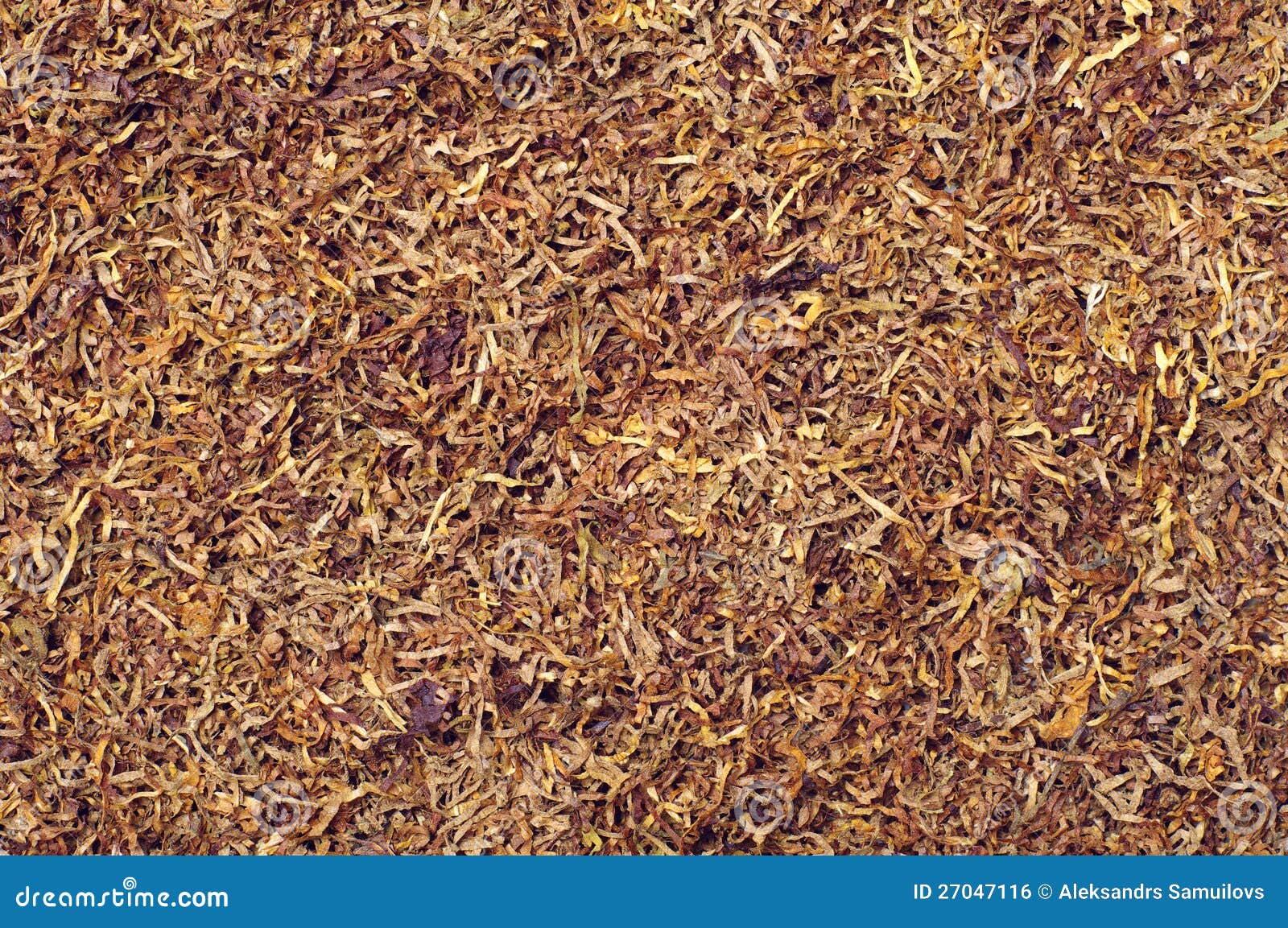 Texture of tobacco stock photo. Image of natural, closeup - 27047116