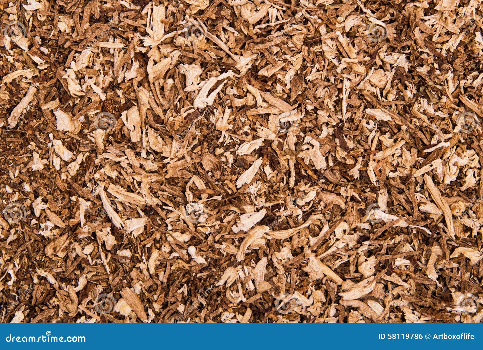 Texture of tobacco stock photo. Image of plant, pipe - 58119786