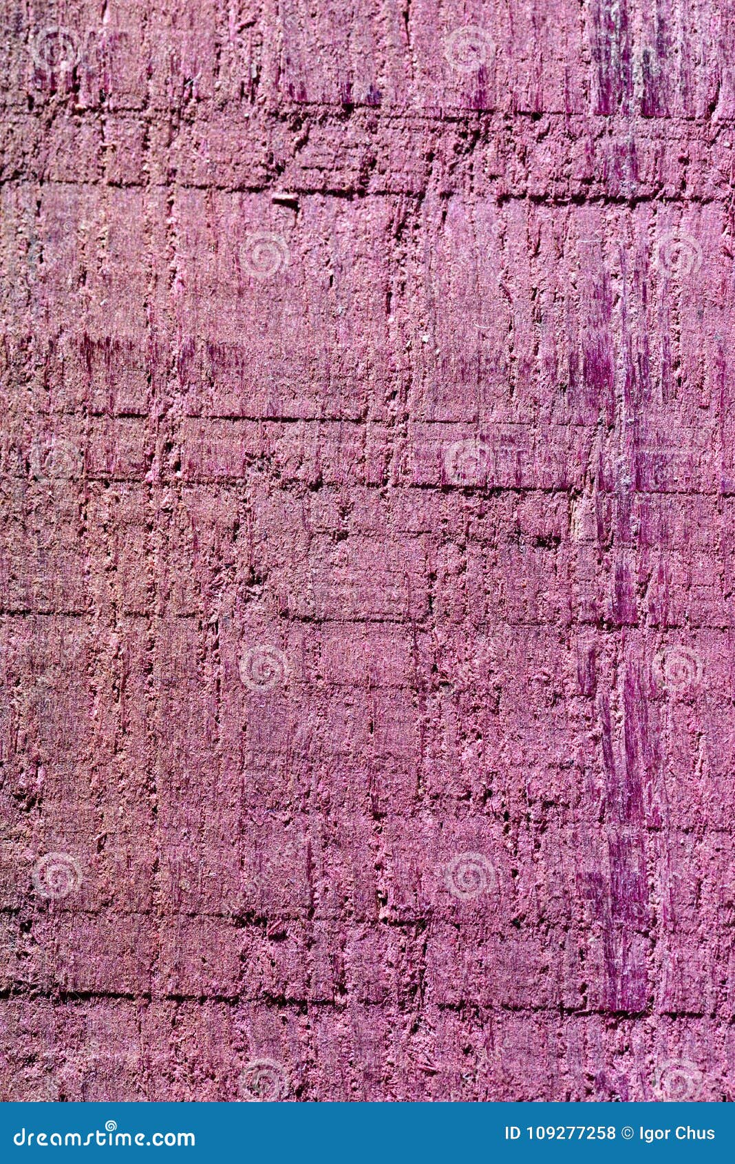 Texture of a Tree Amaranth Shot on a Macro Stock Photo - Image of ...