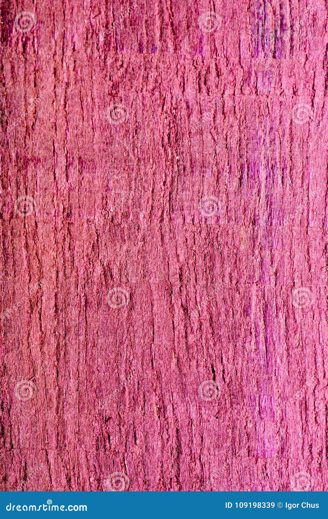 Texture of a Tree Amaranth Shot on a Macro Stock Image - Image of ...