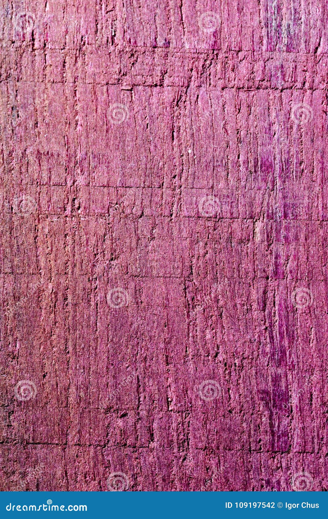 Texture of a Tree Amaranth Shot on a Macro Stock Photo - Image of ...
