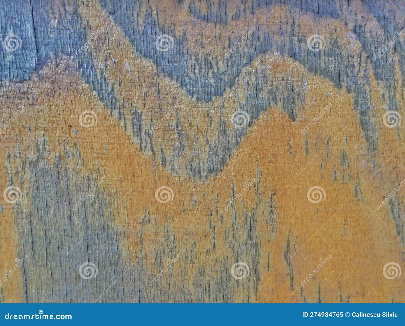 Texture Tree Bark Texture for Graphic Design. Stock Image - Image of ...