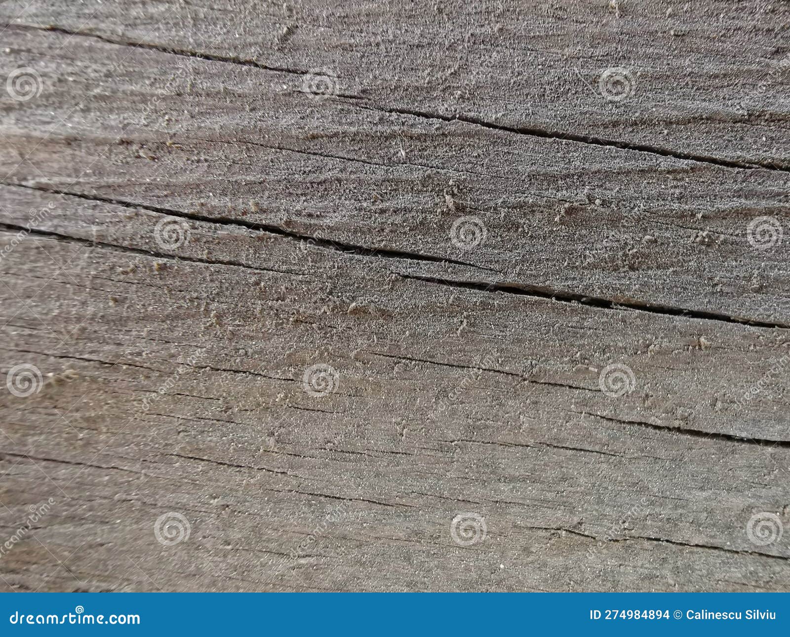 Texture Tree Bark Texture for Graphic Design. Stock Photo - Image of ...