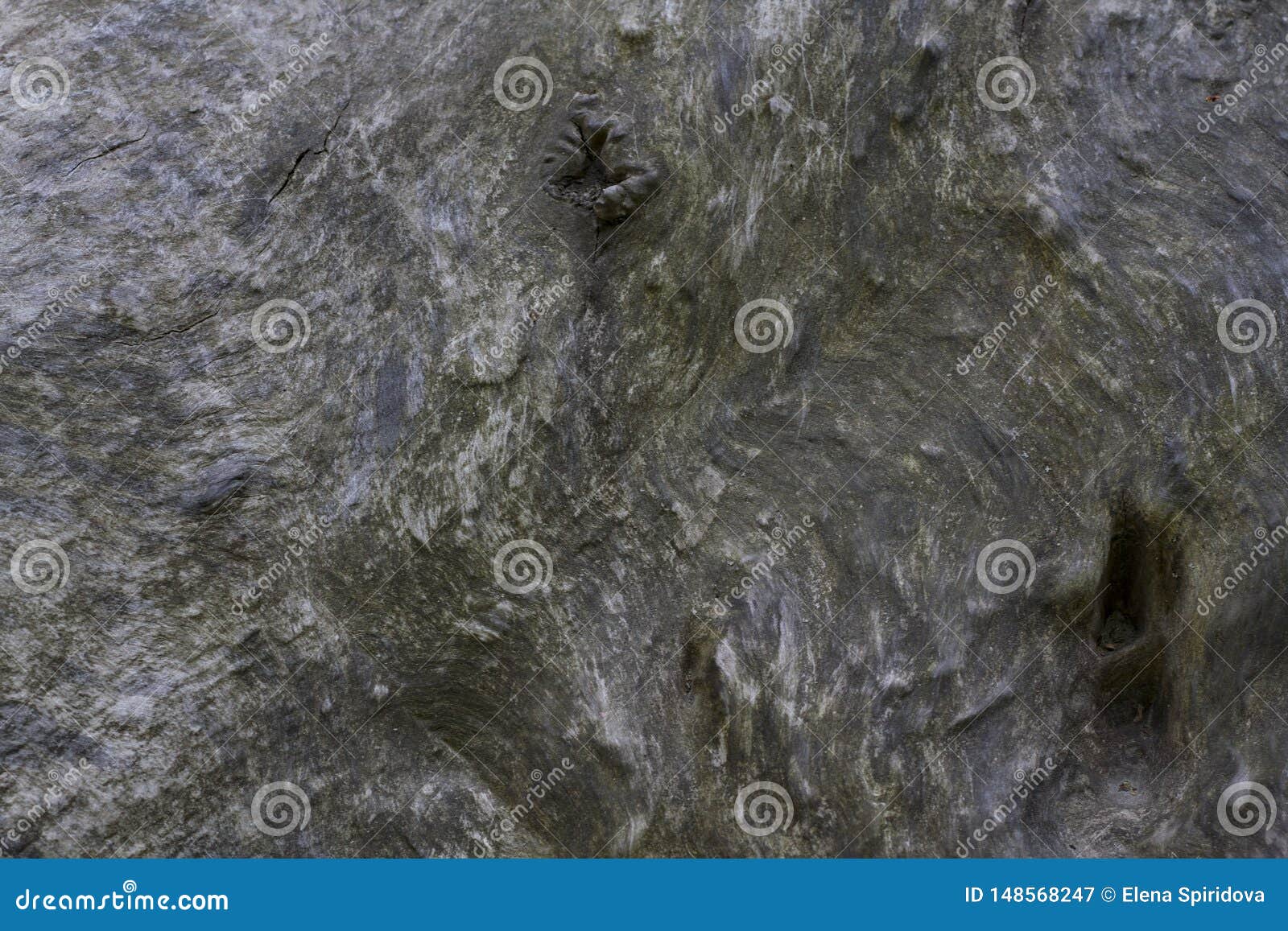 Texture of Tree Bark with Grooves and Grooves Stock Image - Image of ...