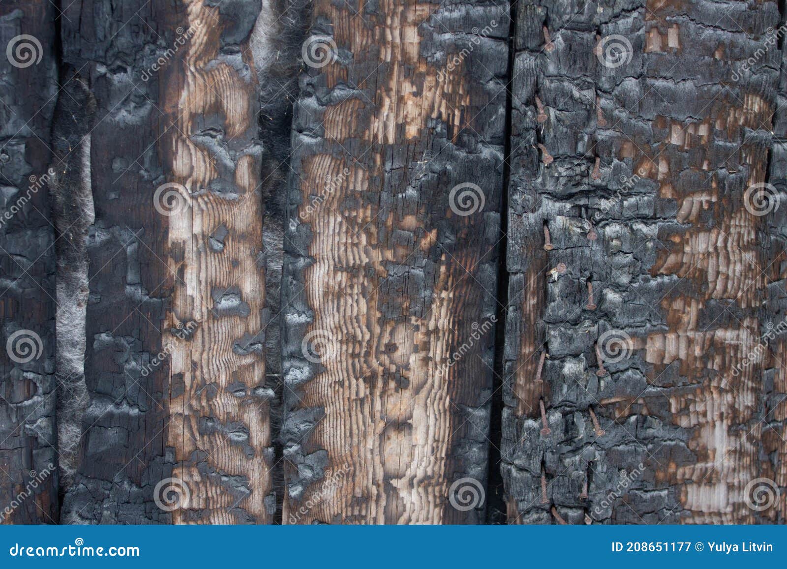 The Texture of a Tree that Burned Half Stock Image - Image of crack ...