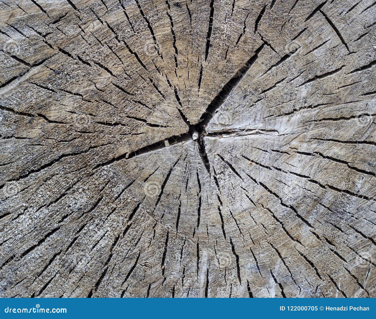 Texture of a Tree with Cracks, Close-up Stock Image - Image of firewood ...