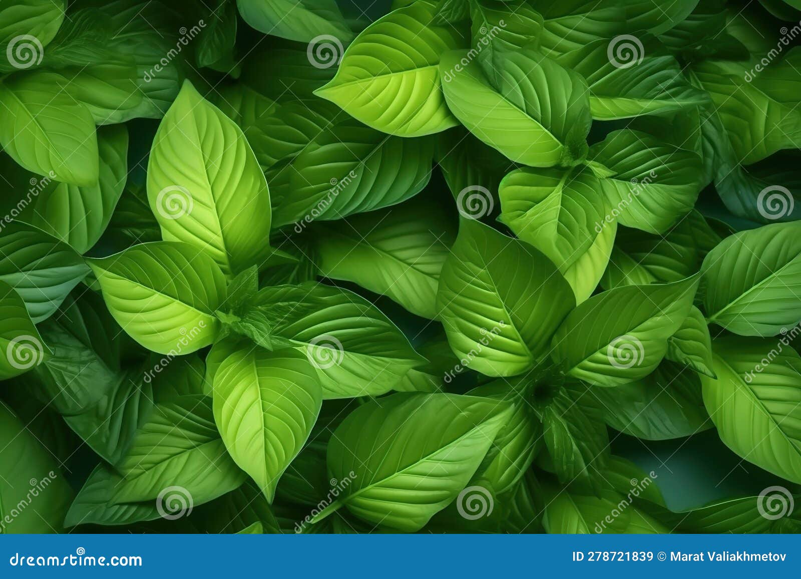 The Texture of a Tree Leaf. Macro Texture of Foliage. Background Leaf ...
