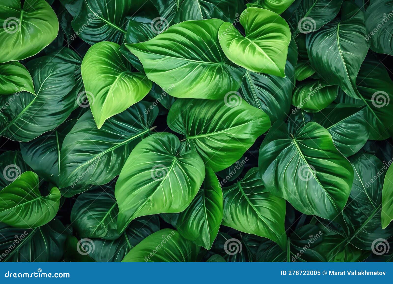 The Texture of a Tree Leaf. Macro Texture of Foliage. Background Leaf ...