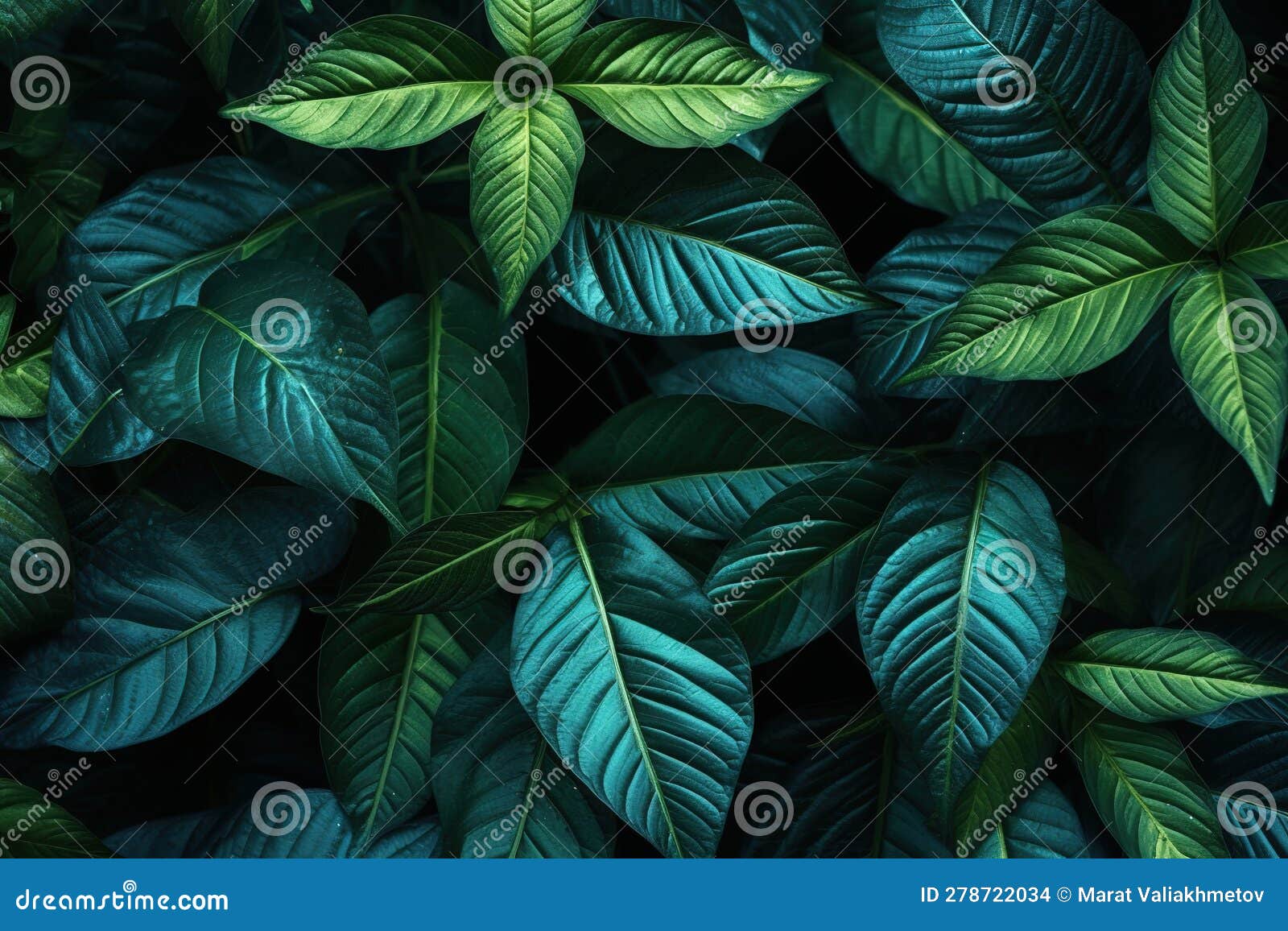 The Texture of a Tree Leaf. Macro Texture of Foliage. Background Leaf ...