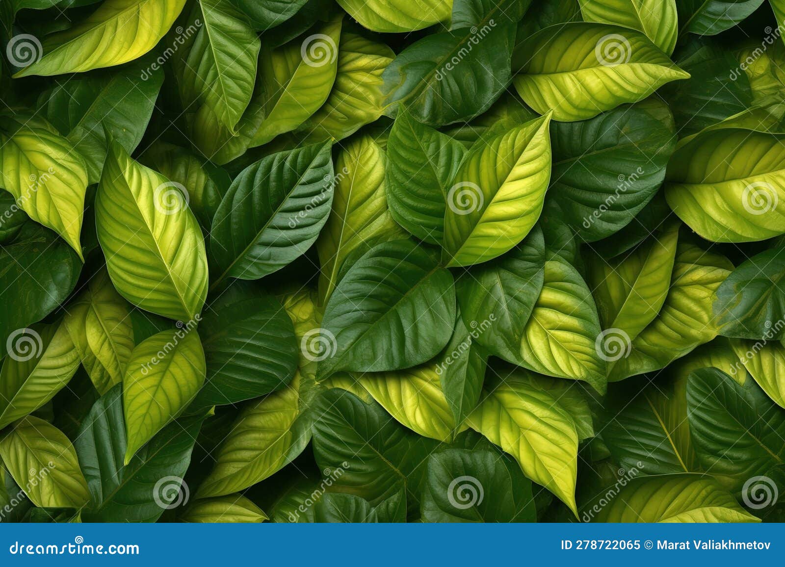 The Texture of a Tree Leaf. Macro Texture of Foliage. Background Leaf ...