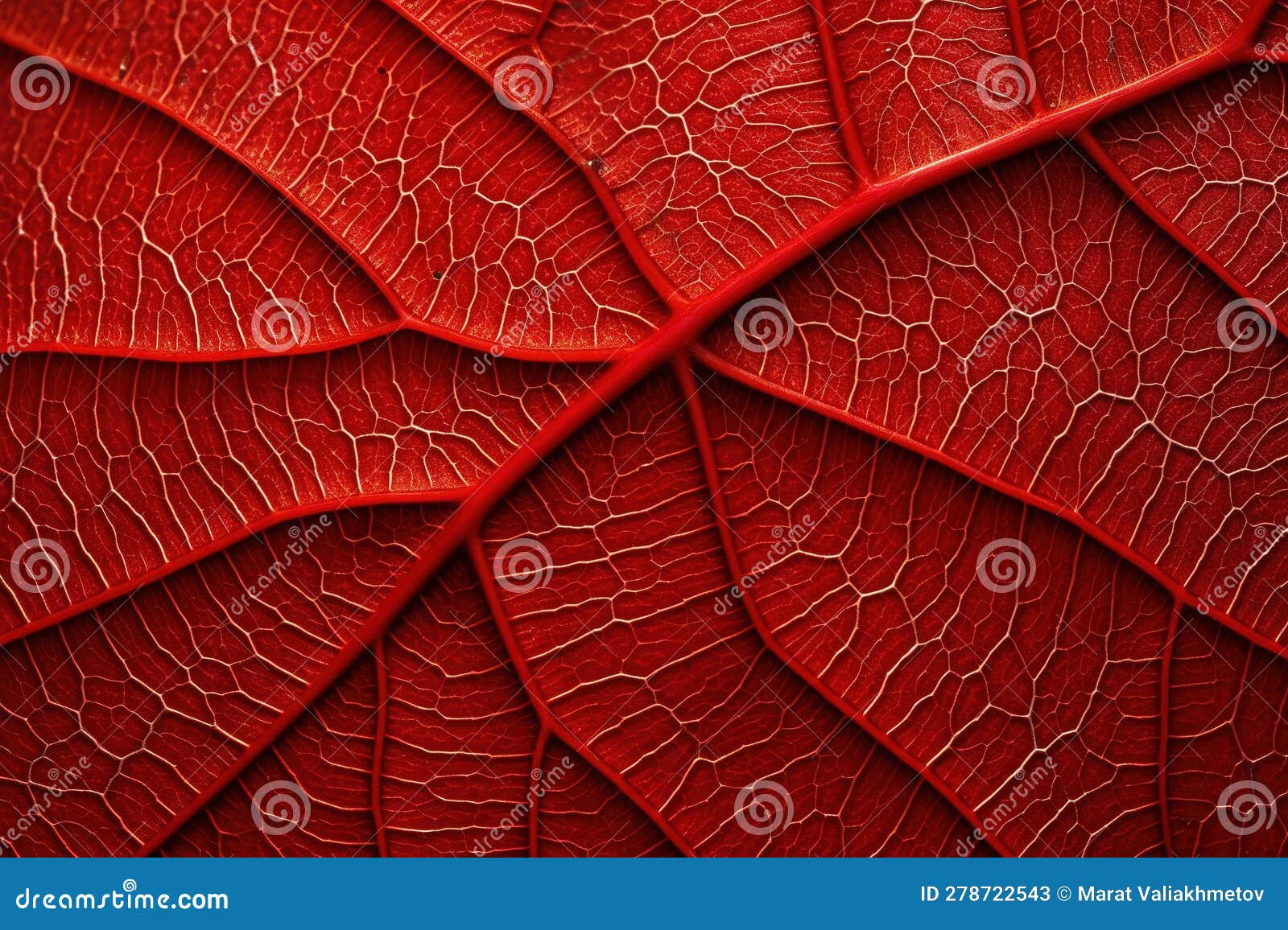 The Texture of a Tree Leaf. Macro Texture of Foliage. Background Red ...