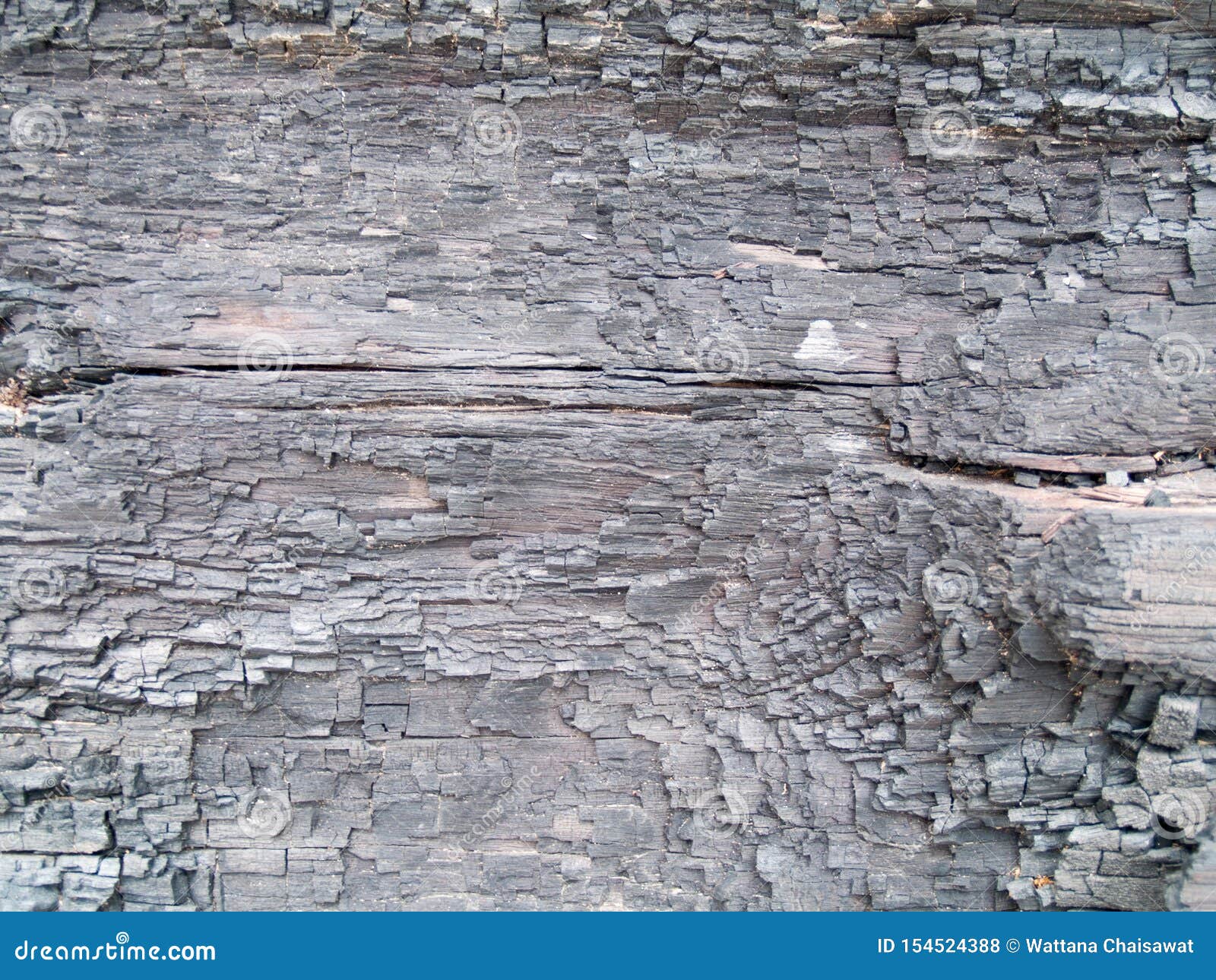 Texture of Tree Stump for Background Images Stock Photo - Image of ...