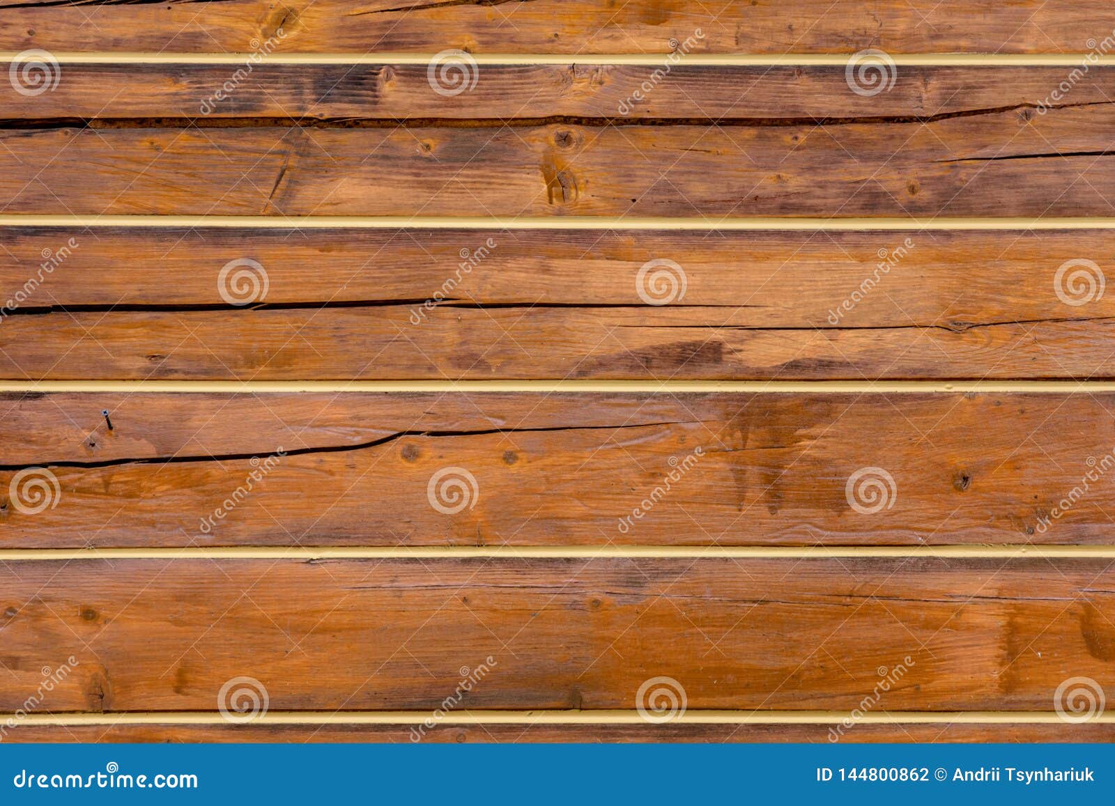 The Texture of the Trees, the Trees are the Wall of the House Stock ...