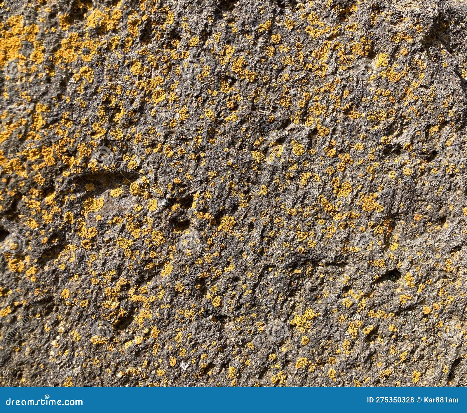 Texture Tuff Stone, Armenian Tuff Stock Photo - Image of material ...