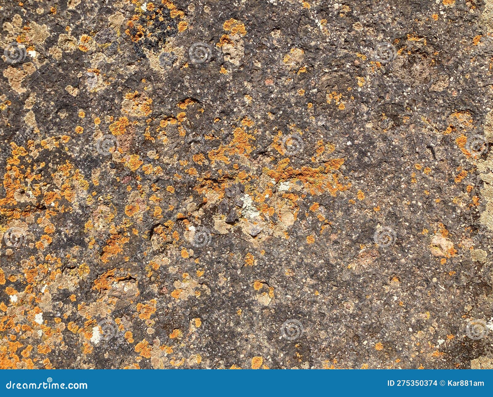 Texture Tuff Stone, Armenian Tuff Stock Photo - Image of rose, national ...