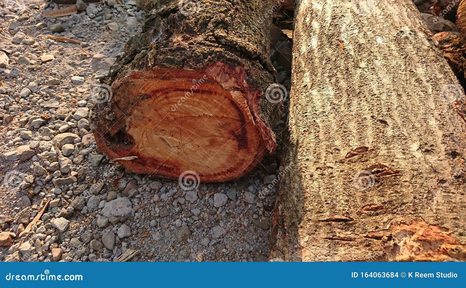 The Texture of Two Wooden Jackfruit Beams Stock Photo - Image of ...