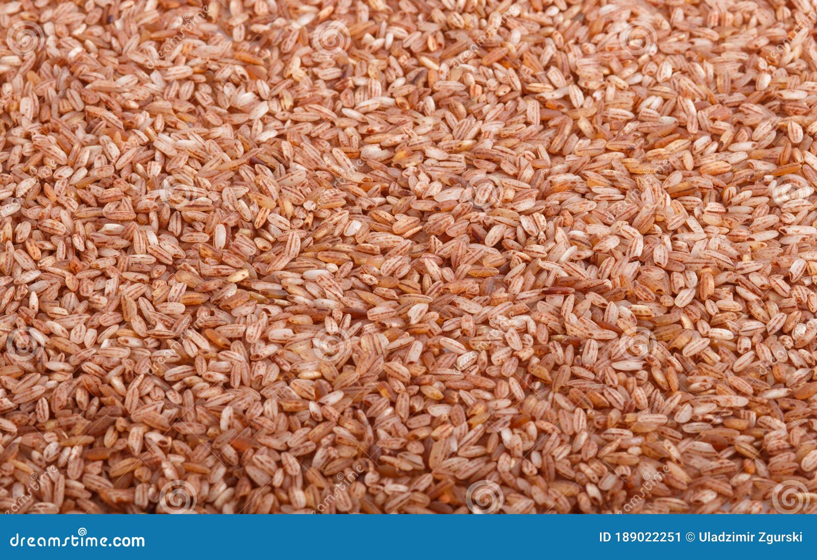 Texture of Unpolished Brown Rice. Side View, Close Up Stock Image ...