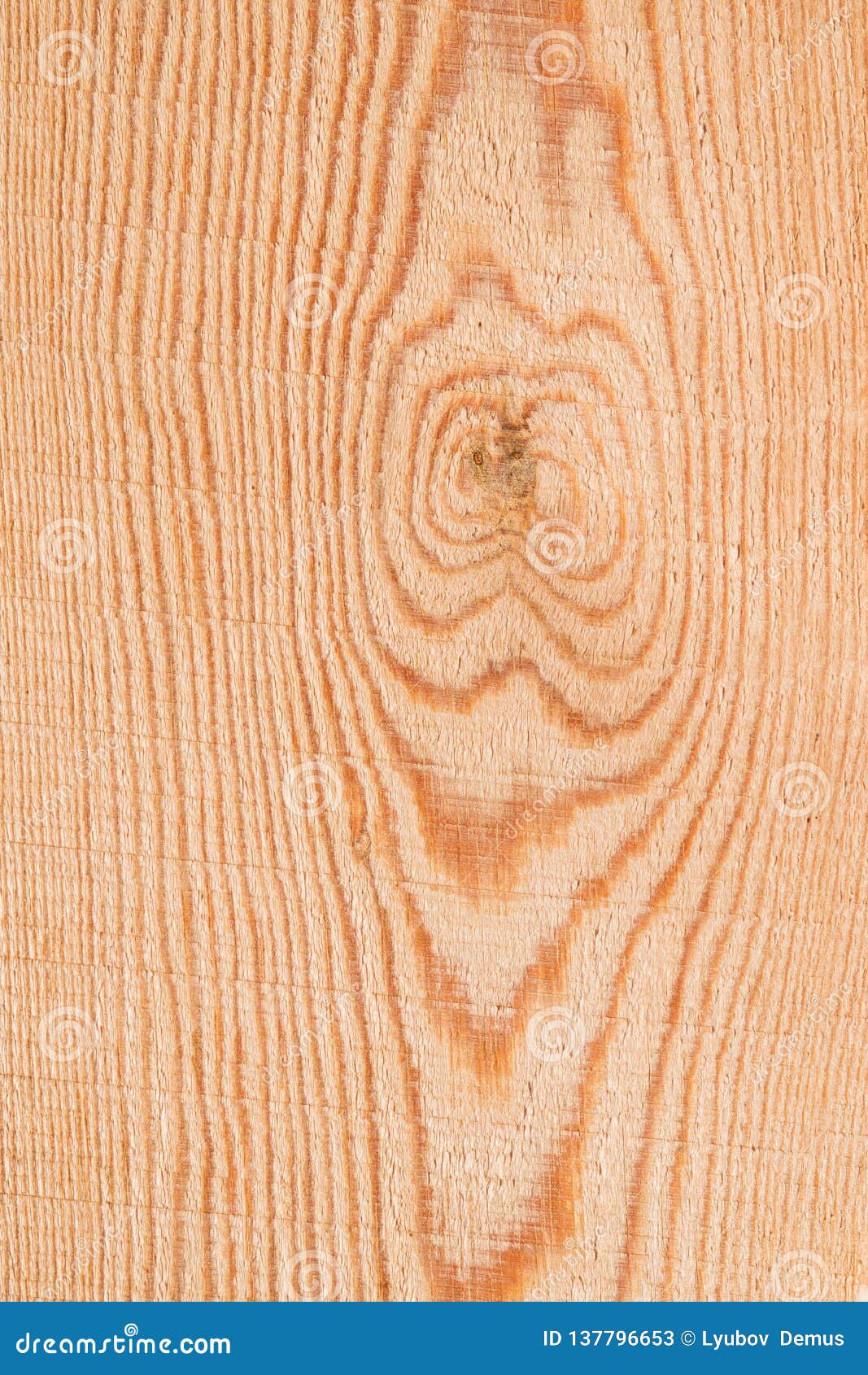 The Texture of Untreated Coniferous Wood with a Beautiful Organic ...
