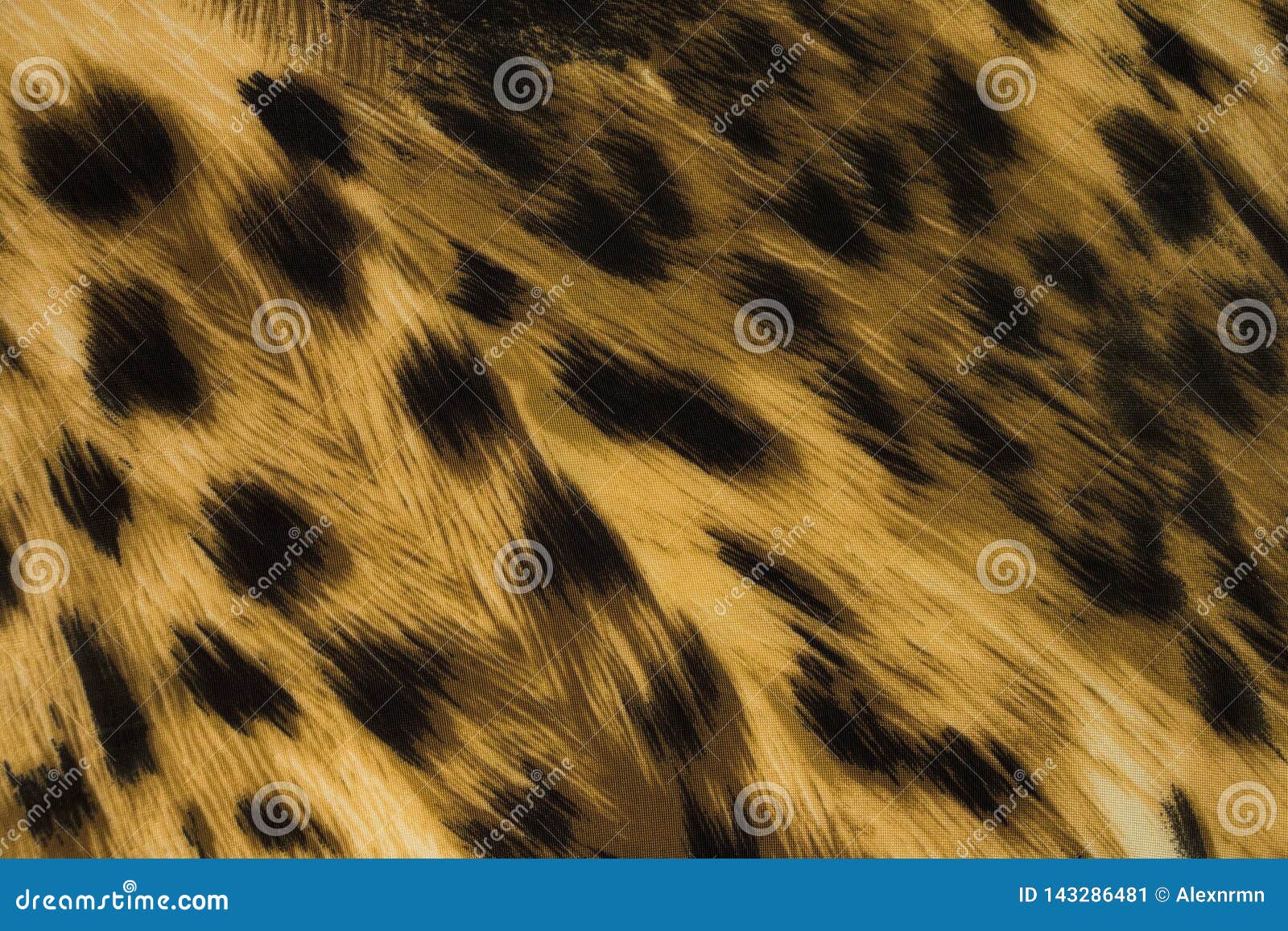 Fragment of Retro Clothes with Leopard Print. Stock Image - Image of ...