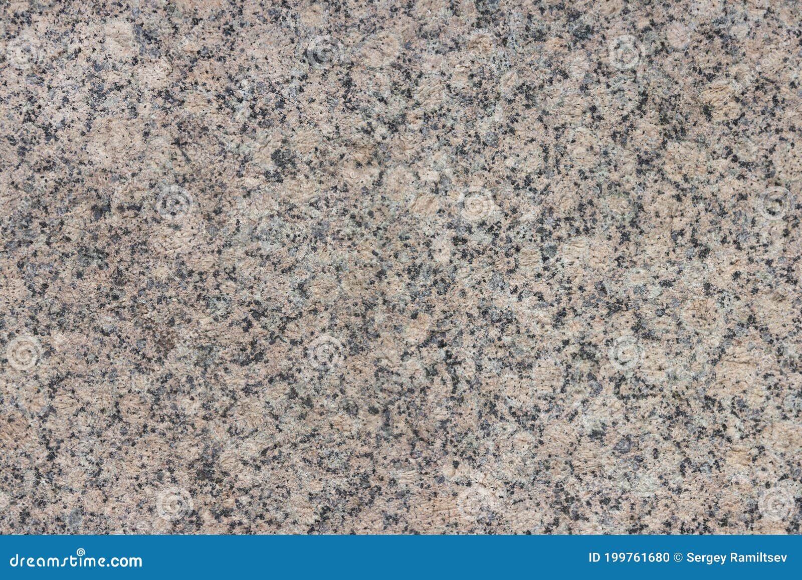 The Texture of a Variegated Speckled Polished Marble Stock Photo ...