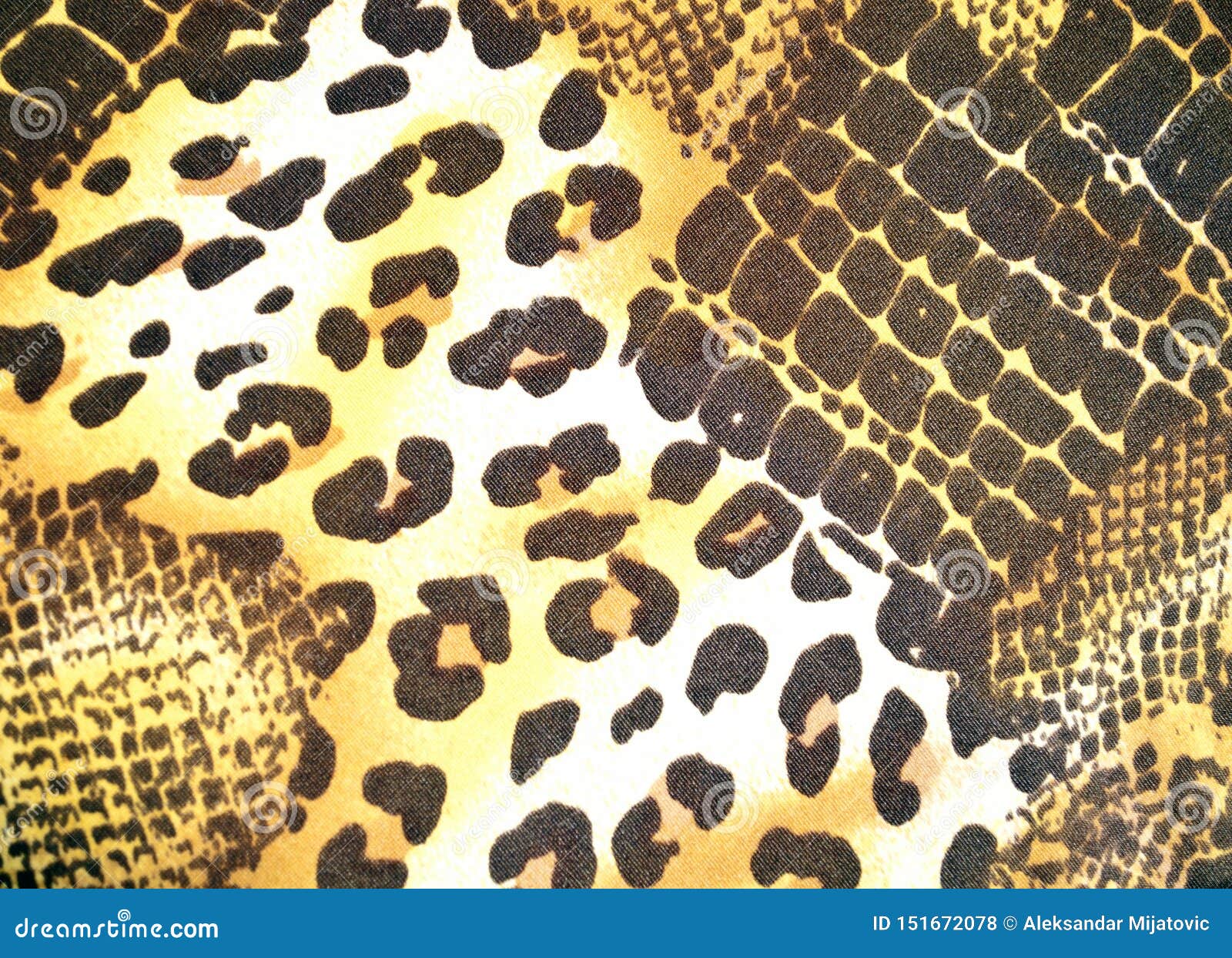 Animal skin pattern stock photo. Image of jaguar, grunge - 151672078