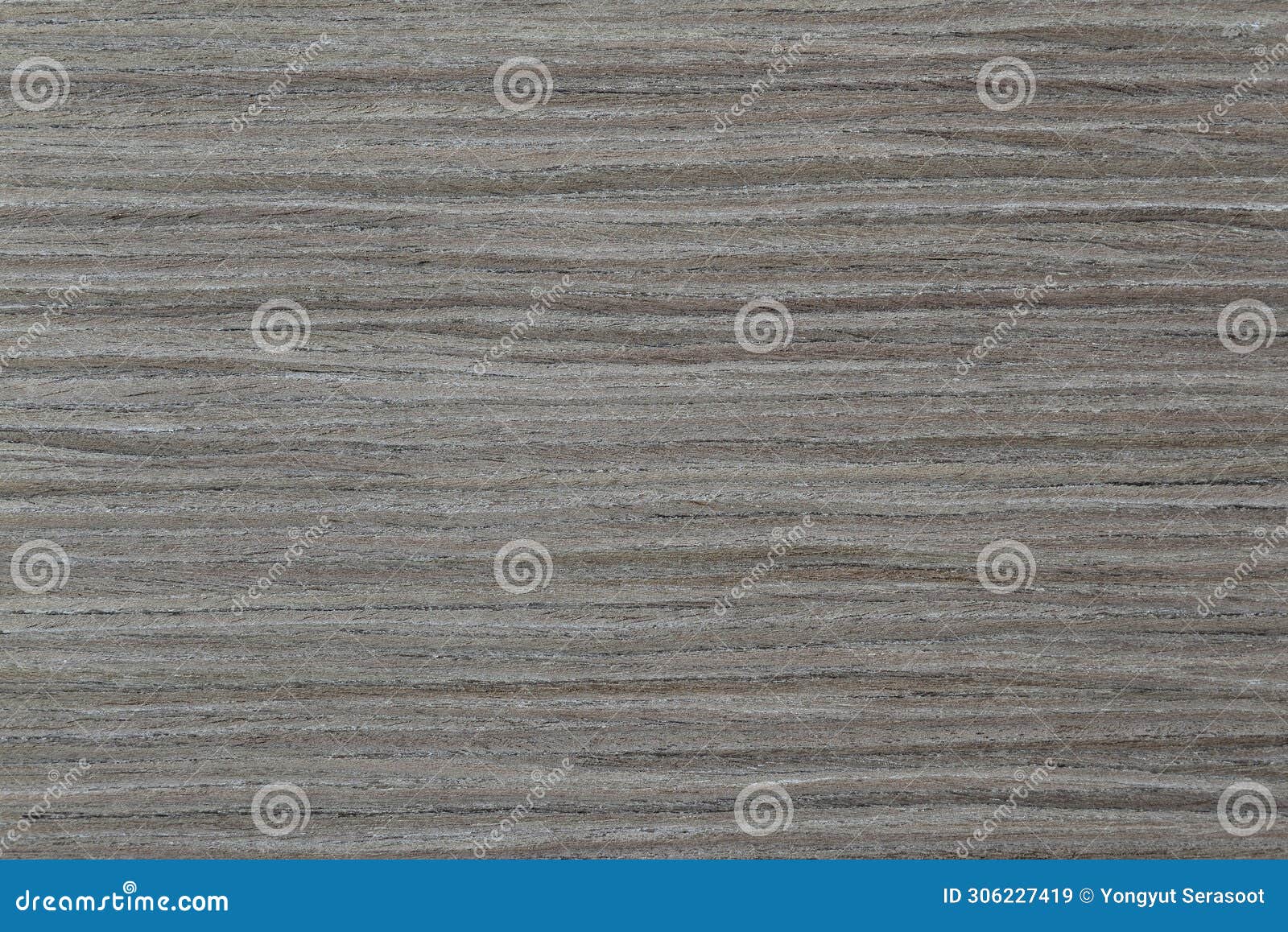 The Texture of the Veneer Surface is Natural and Its Unique Appe Stock ...