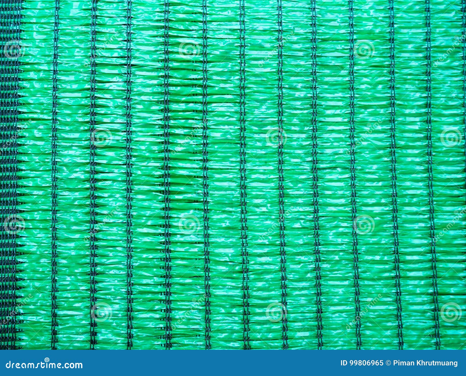 Texture Verte De Filet D'ombrage Image stock - Image du fond, blanc ...
