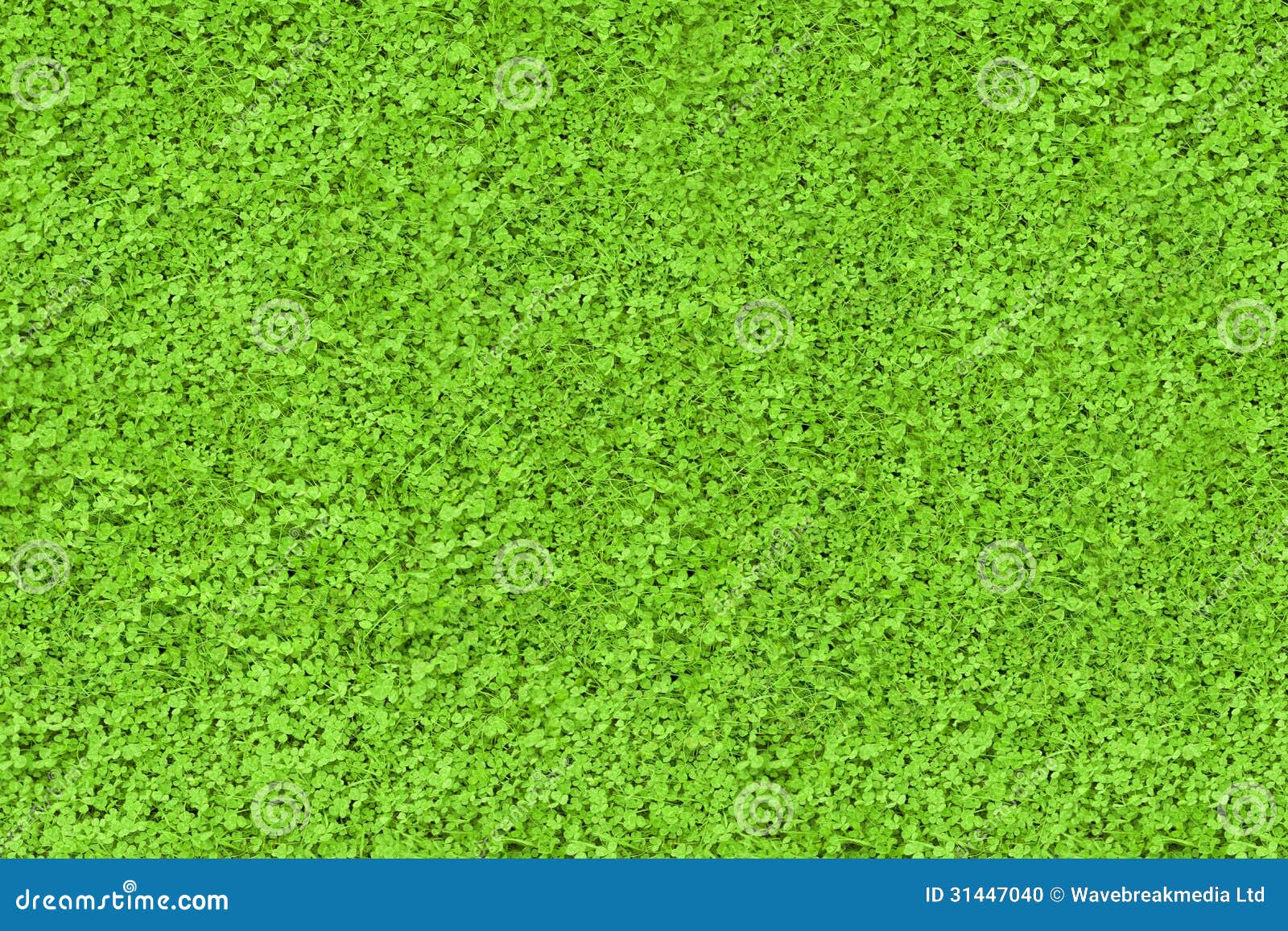 Texture verte de nature photo stock. Image du vert, texturisé - 31447040