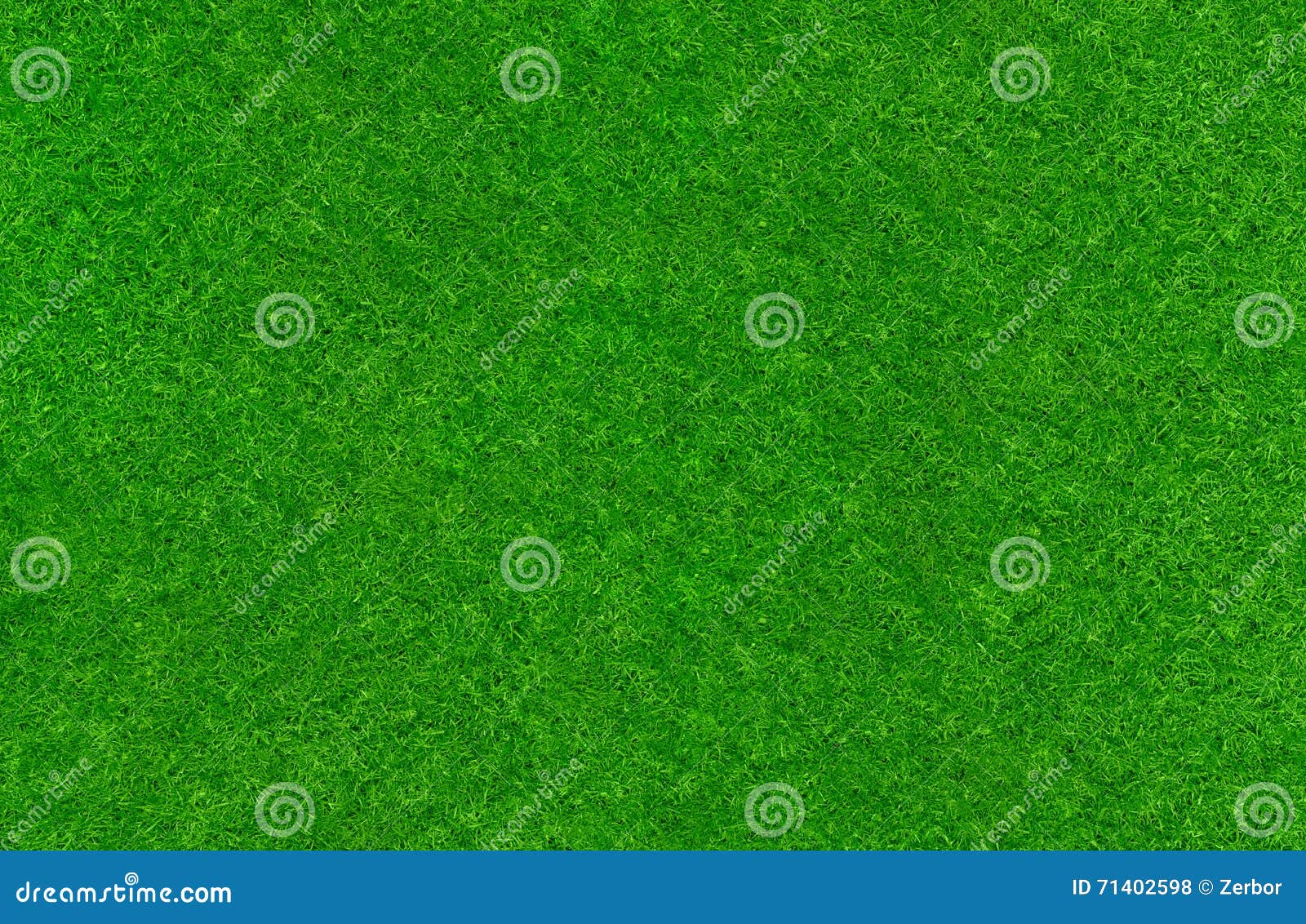 Texture verte de pelouse photo stock. Image du tournoi - 71402598