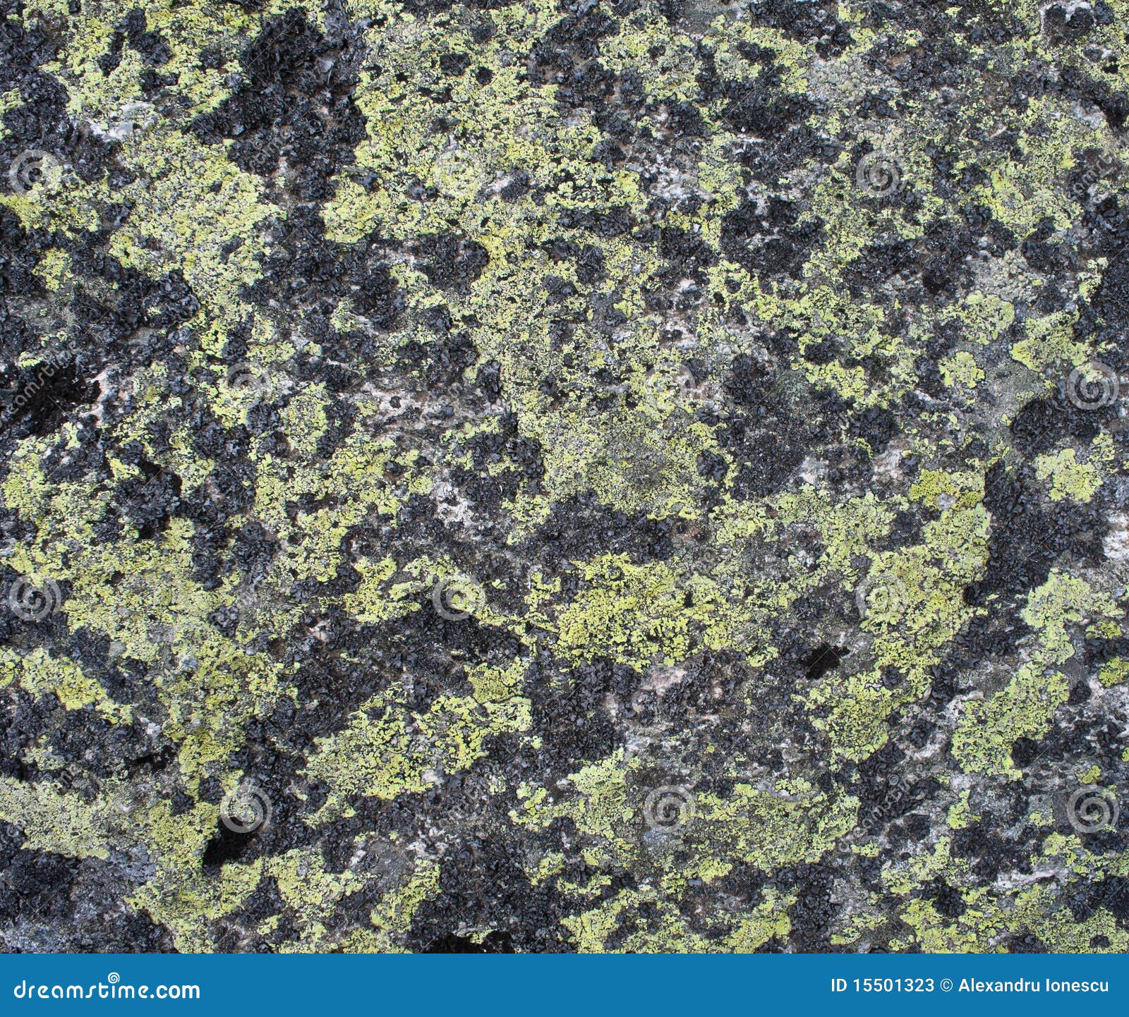 Texture Verte De Pierre De Montagne Image stock - Image du pierre ...