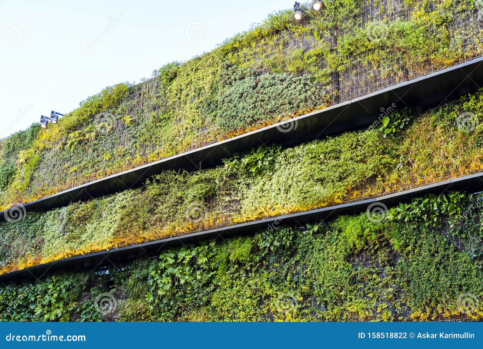 Texture of Vertical Green Wall Stock Photo - Image of environment ...