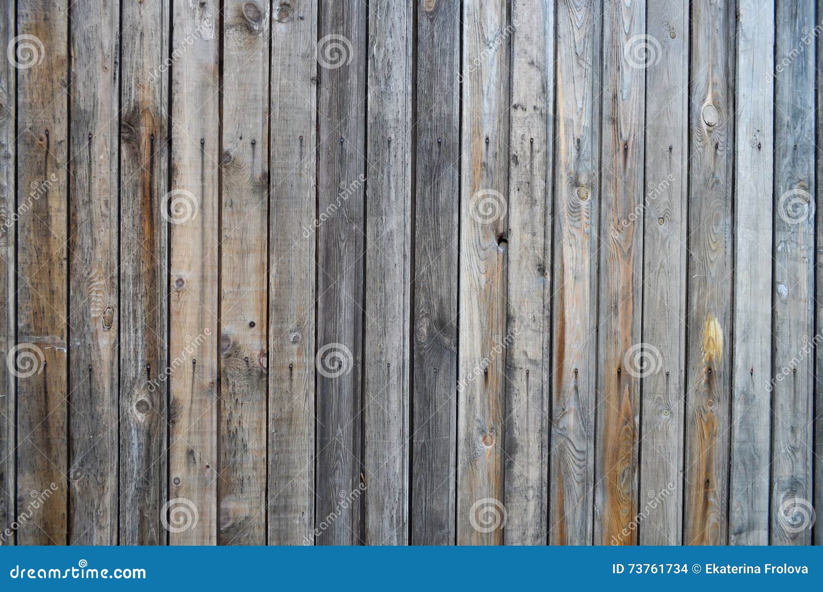 Texture of Vertical Wood Plank Stock Photo - Image of board, pattern ...