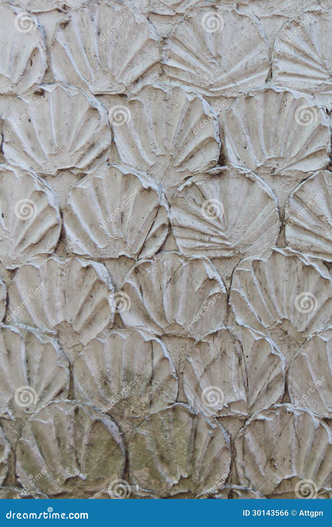 Scalloped Decor of Wall Surface Stock Photo - Image of marine, sand ...