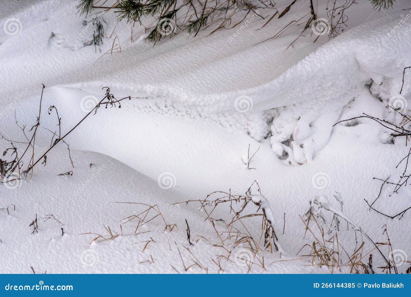 Volume of Snowdrifts and Plants Covered with Snow Stock Image - Image ...