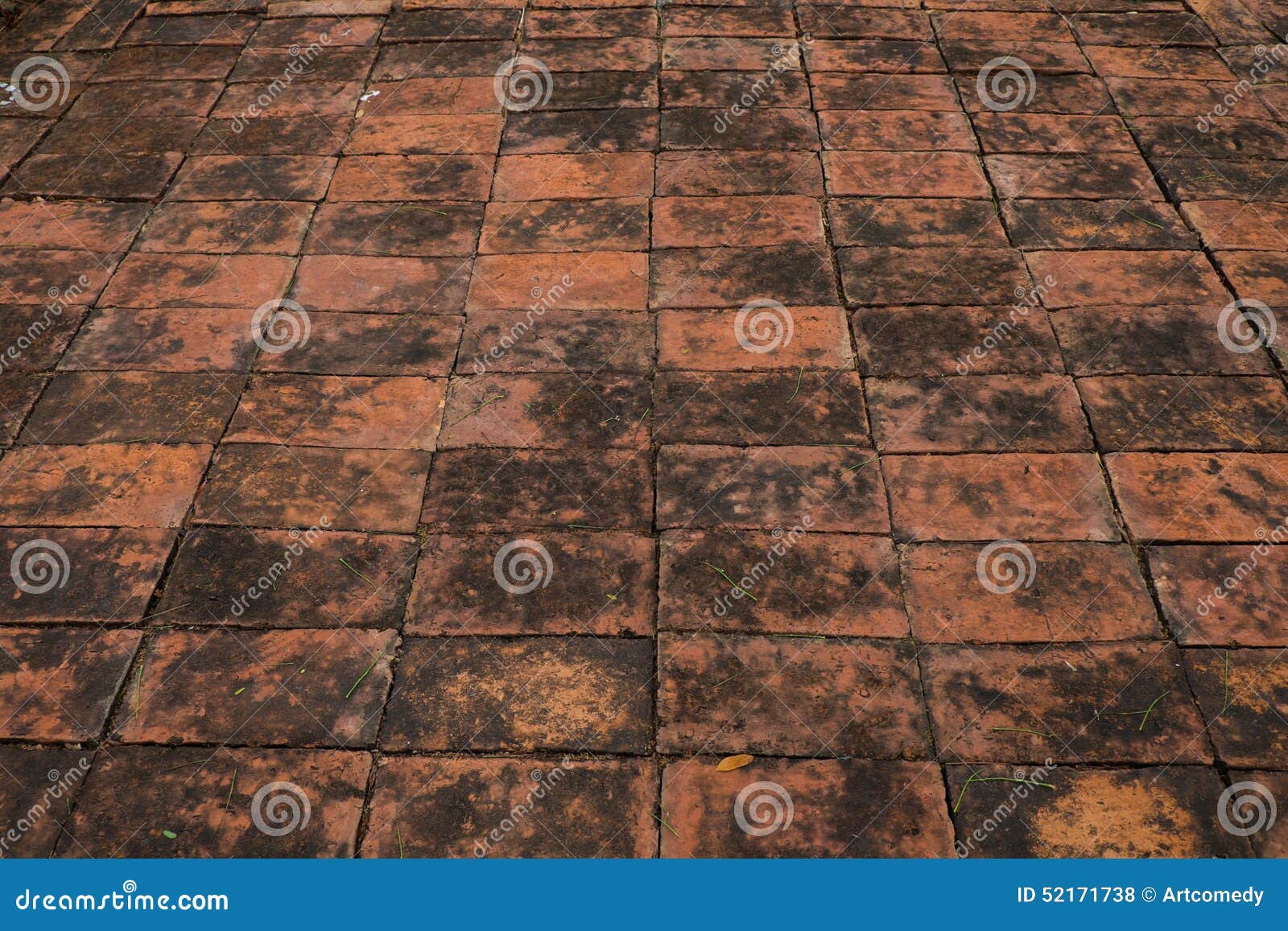 Texture of Walkway, Red Bricks Walkway Stock Photo - Image of concrete ...