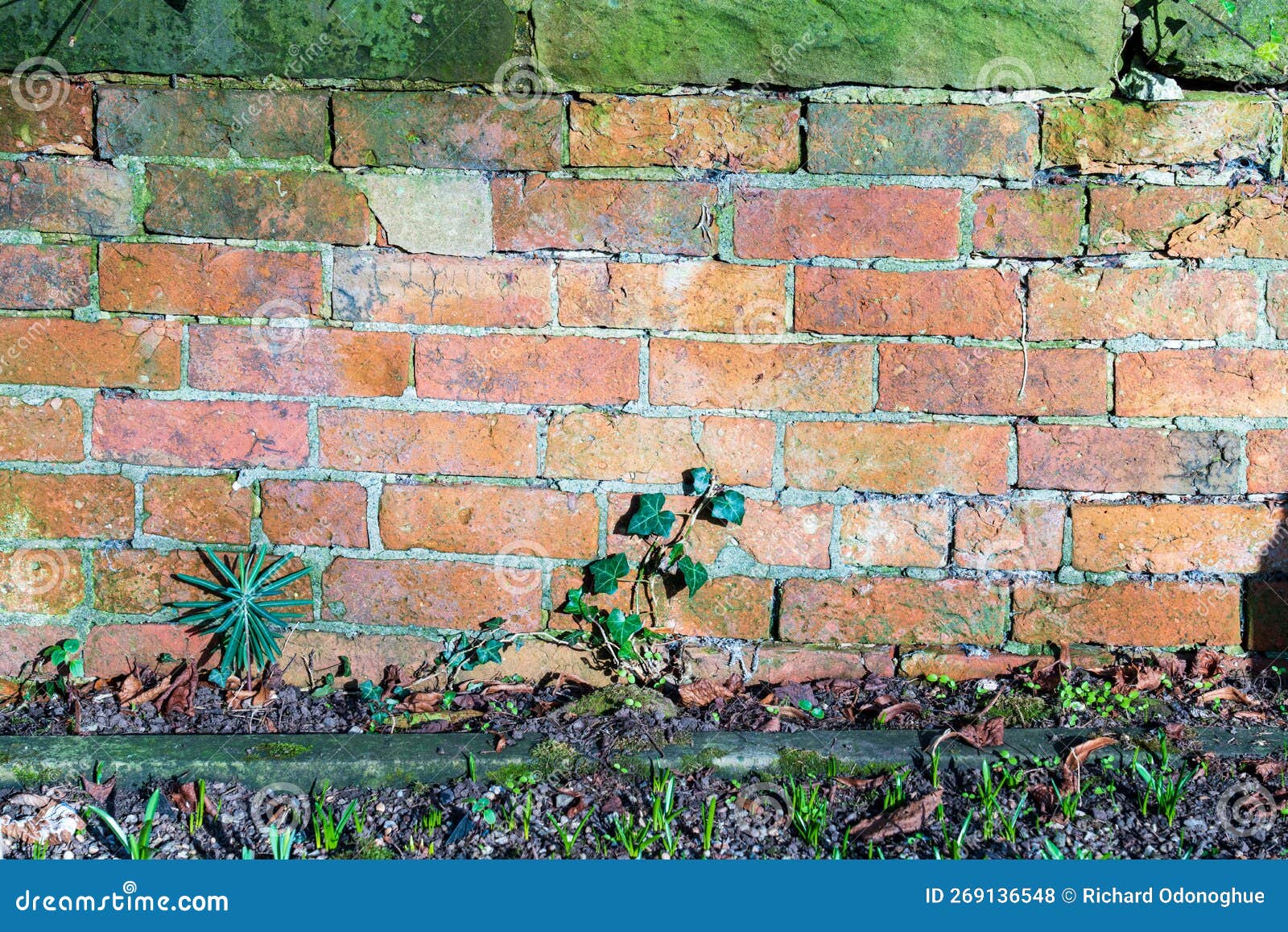 Texture Wall Background Pattern of Old Vintage Weathered Bricks with ...
