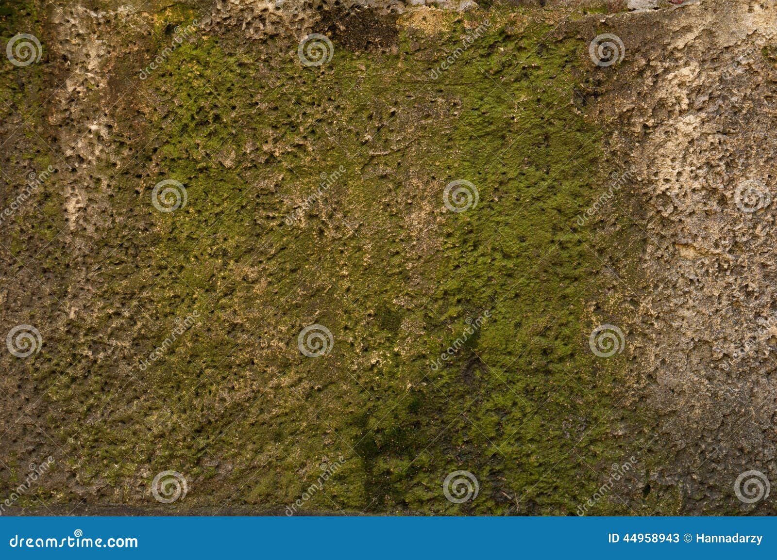 Texture of Wall Covered with Yellow Plaster Mold Stock Image - Image of ...